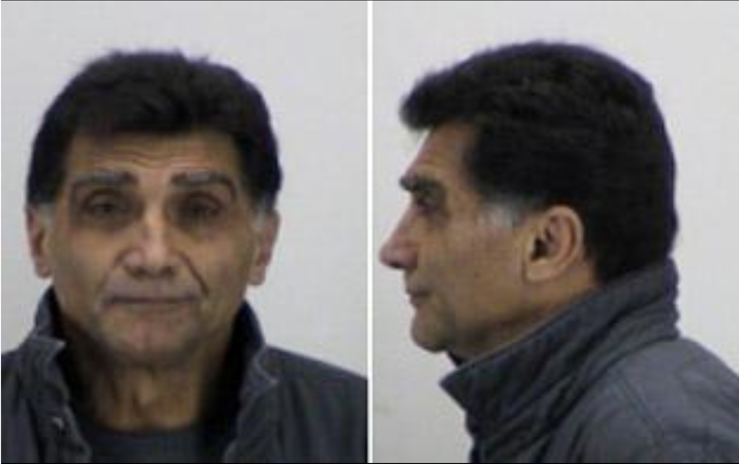 Five Families of New York City