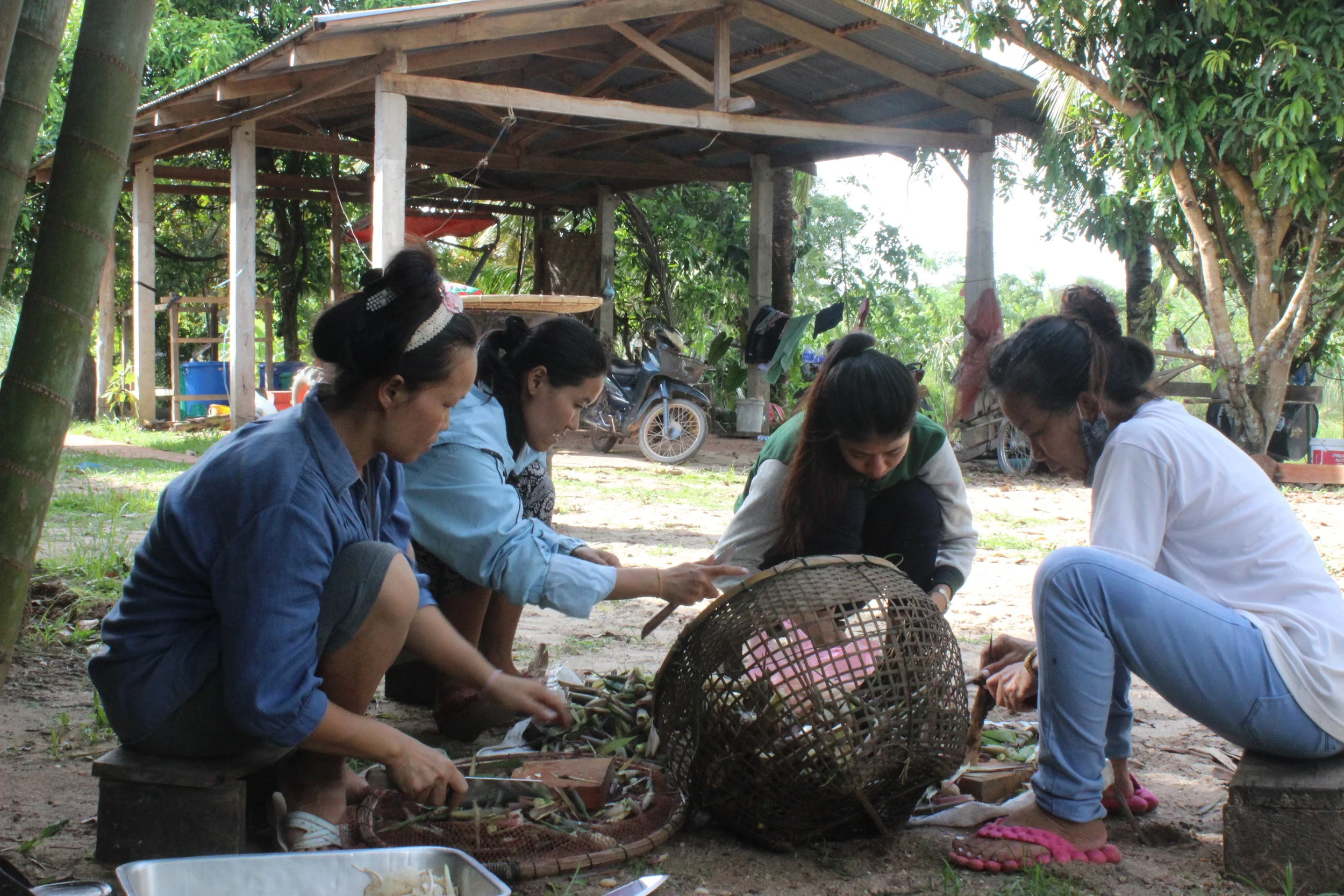 Laos — Abundant Water
