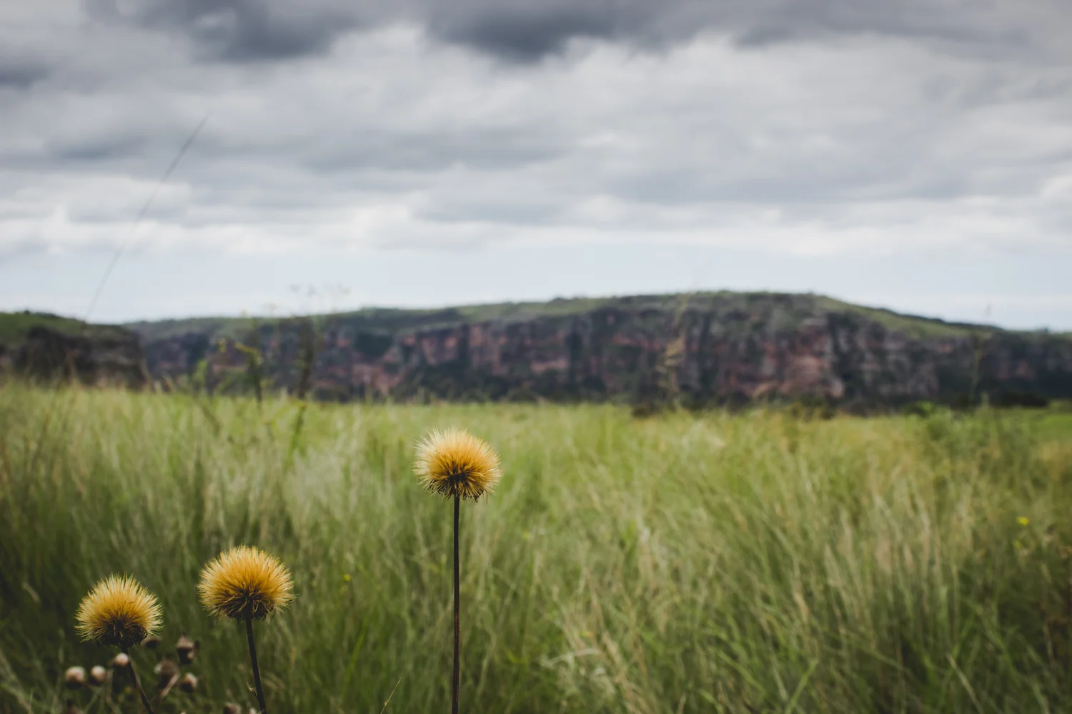 Things to Do — Oribi Gorge Guest Farm