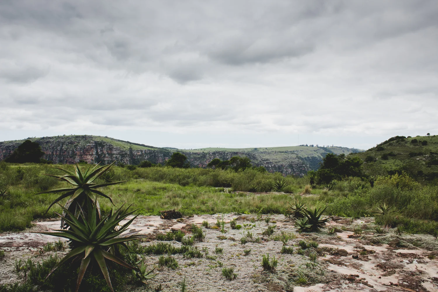 Things to Do — Oribi Gorge Guest Farm