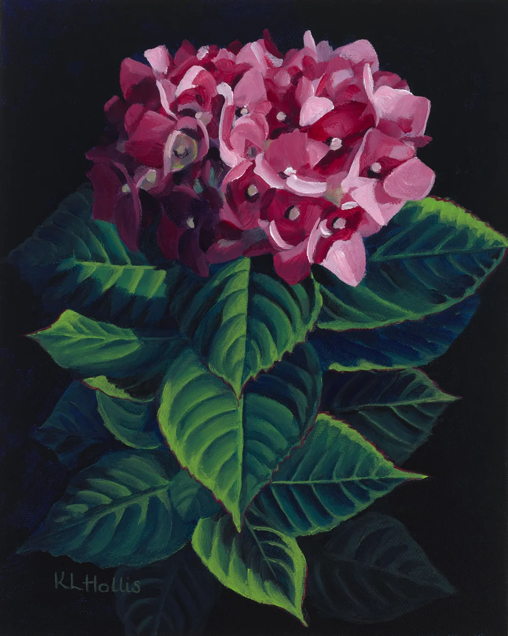 Real Painting Hydrangeas Counterpoise' An Original Painting Of A