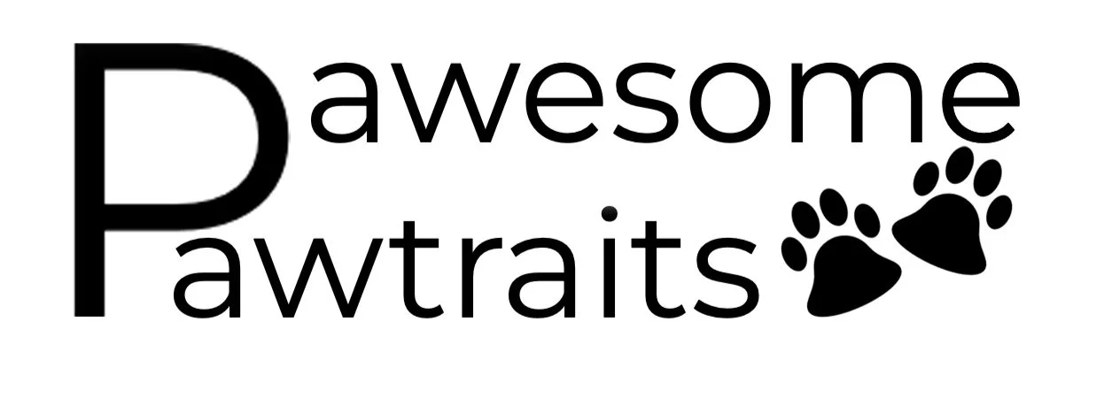 Pawesome Pawtraits / Cambridge Pet Photography