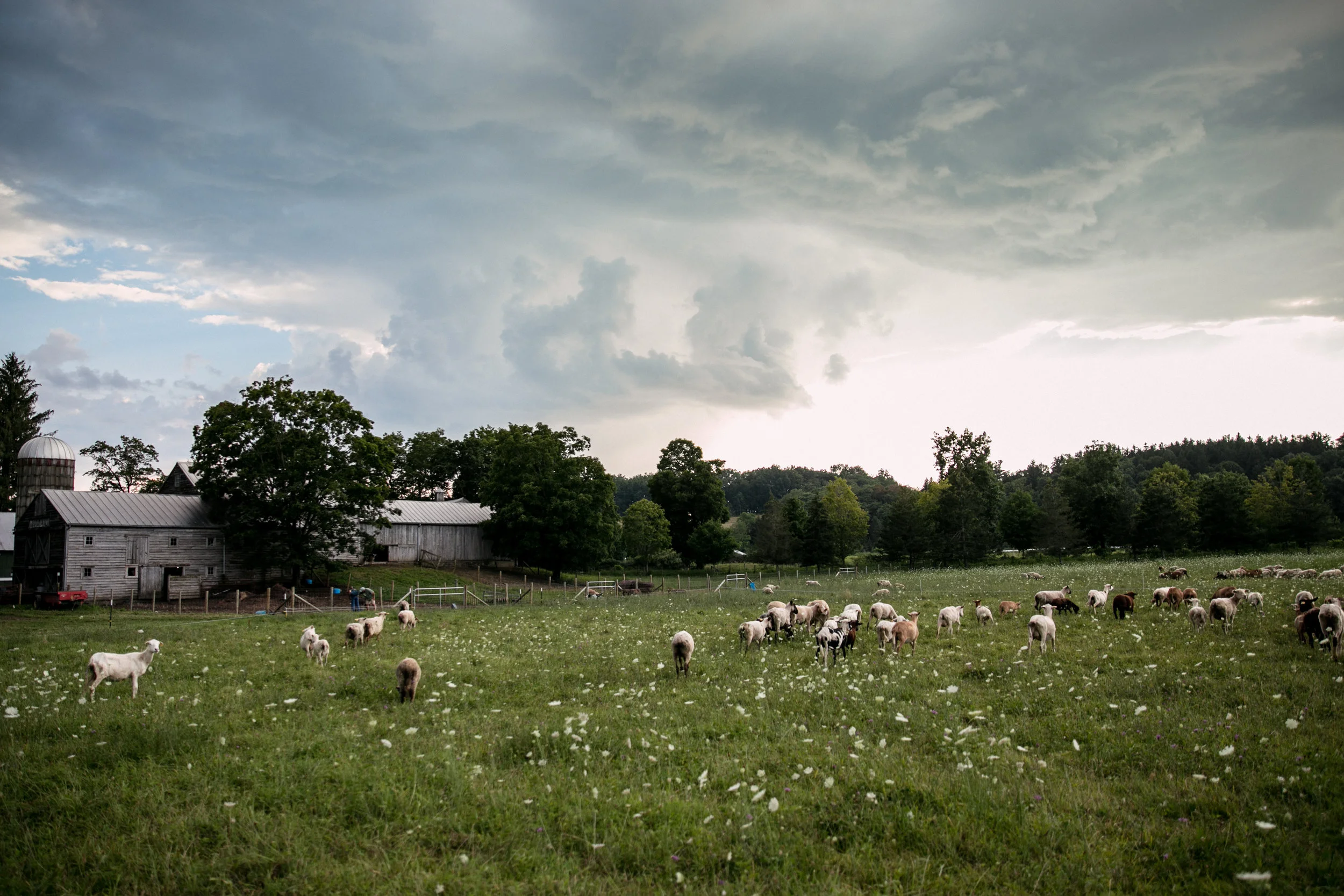 About — Meadowland Farm