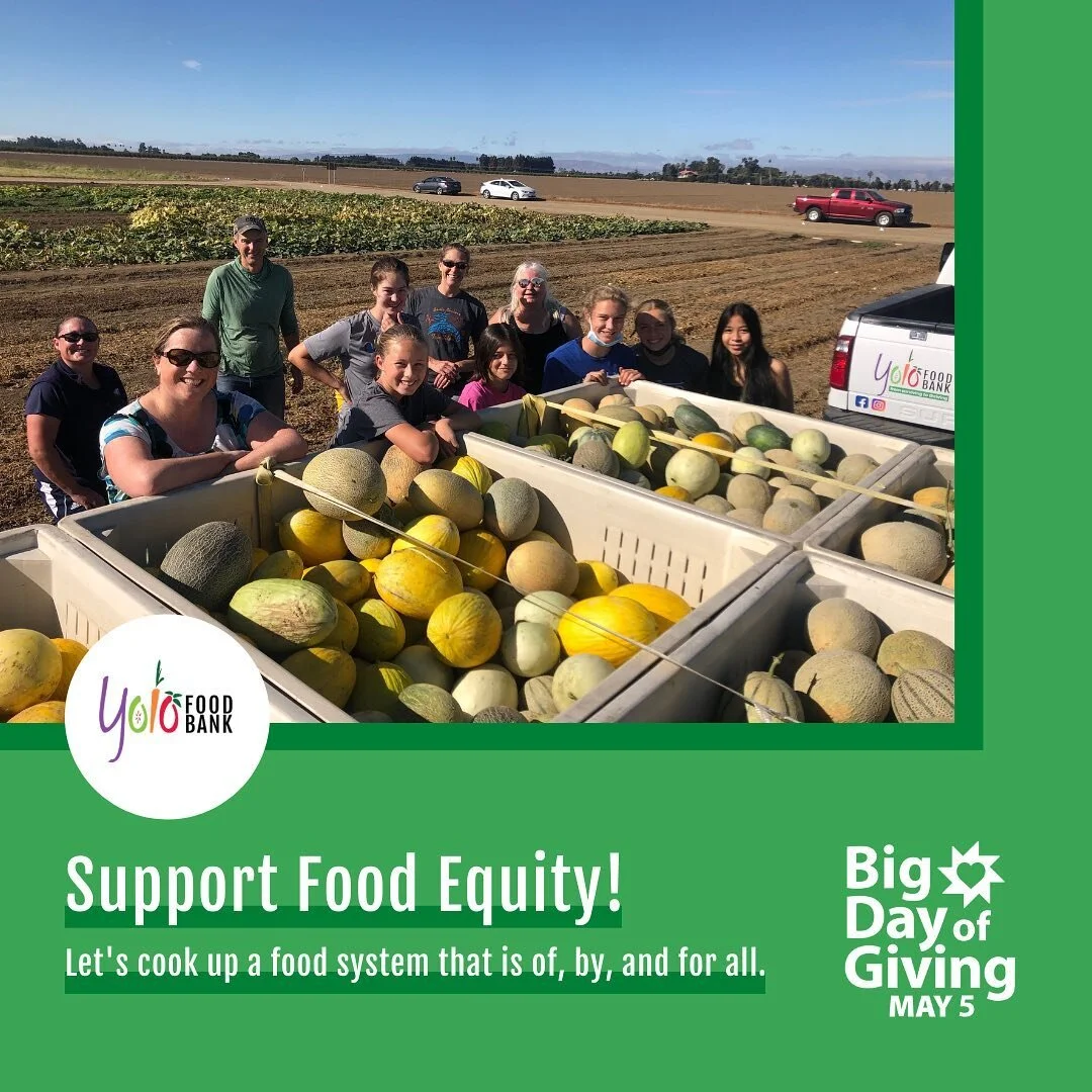 Capay Valley Farm Shop