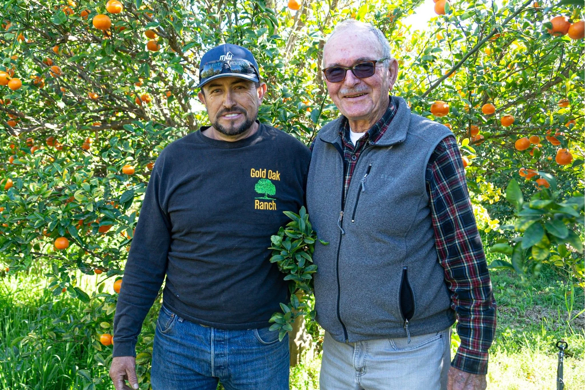 Producers — Capay Valley Farm Shop