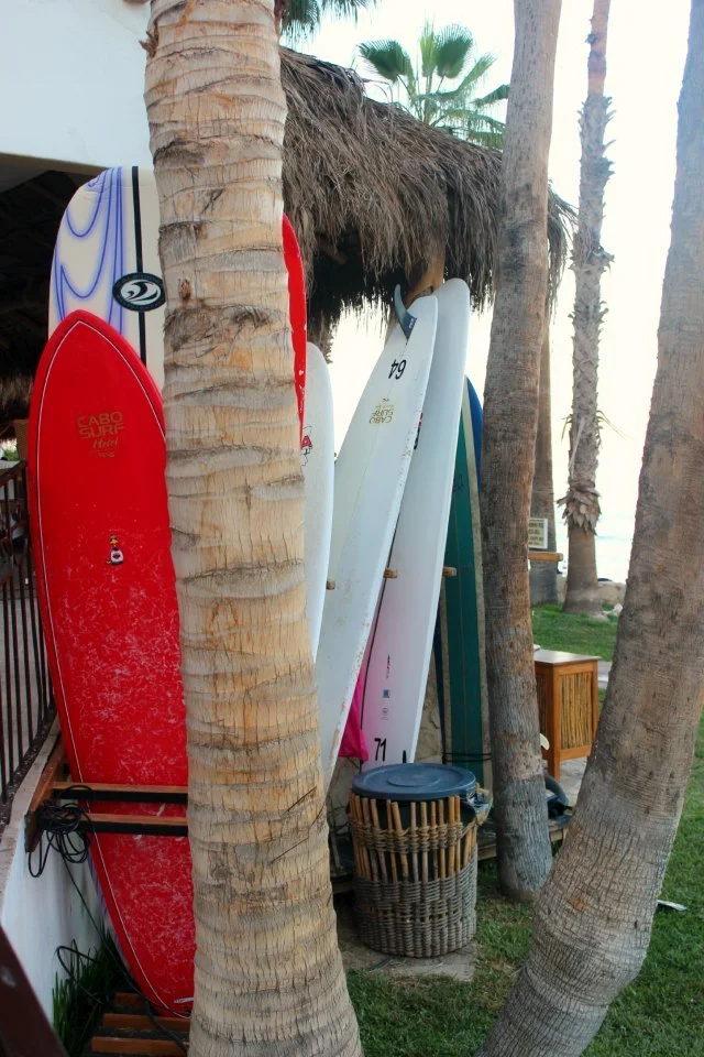Date Night at 7 Seas Los Cabos-Surf's Up! — Curated Travel