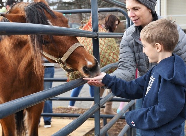 US Horse Welfare & Rescue, where horses rescue the human spirit through ...