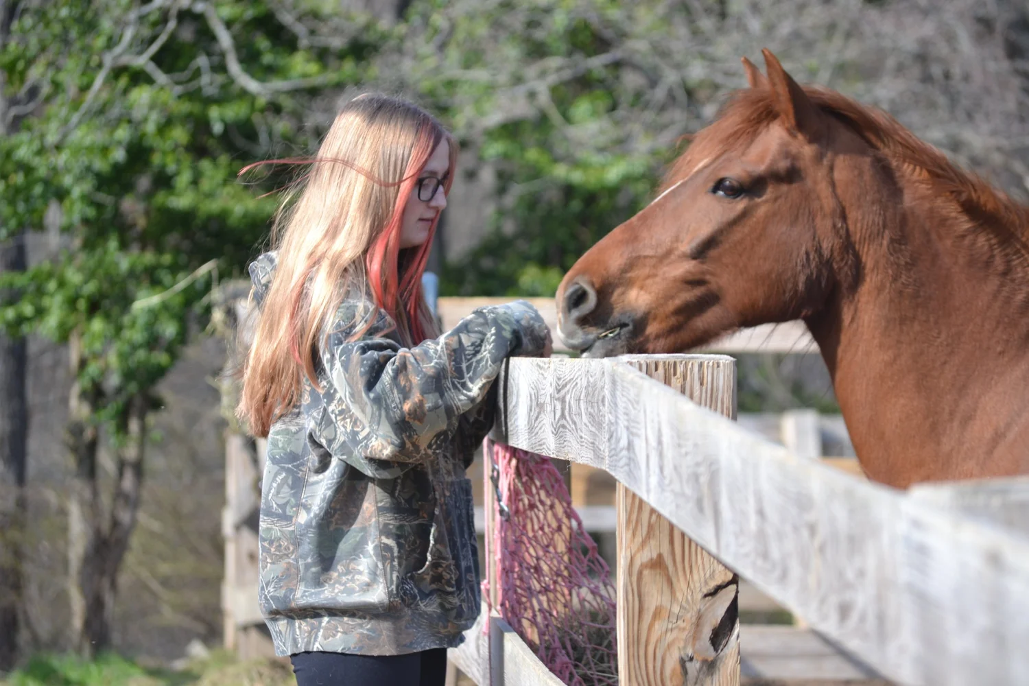 US Horse Welfare & Rescue, where horses rescue the human spirit through ...