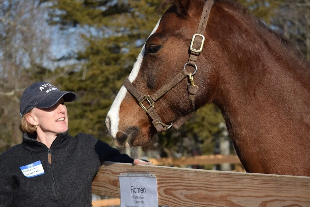 Volunteer Programs — US Horse Welfare and Rescue
