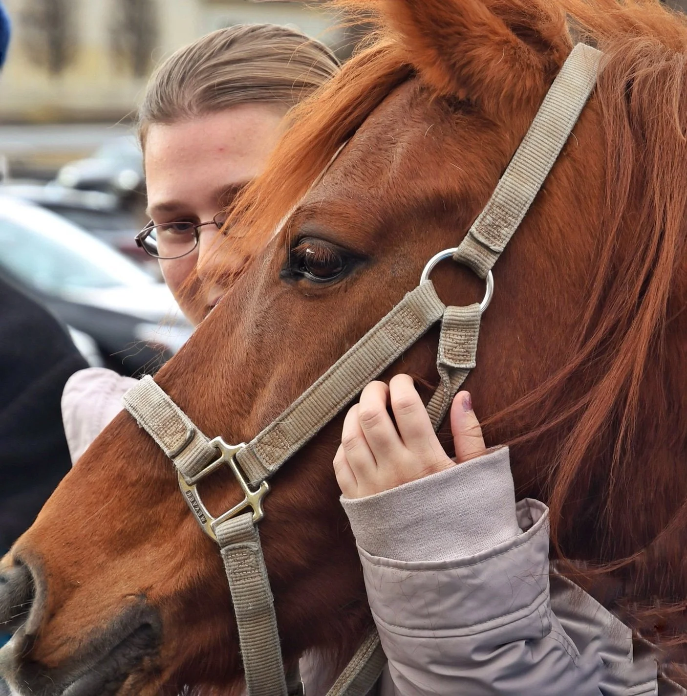 US Horse Welfare & Rescue, where horses rescue the human spirit through ...