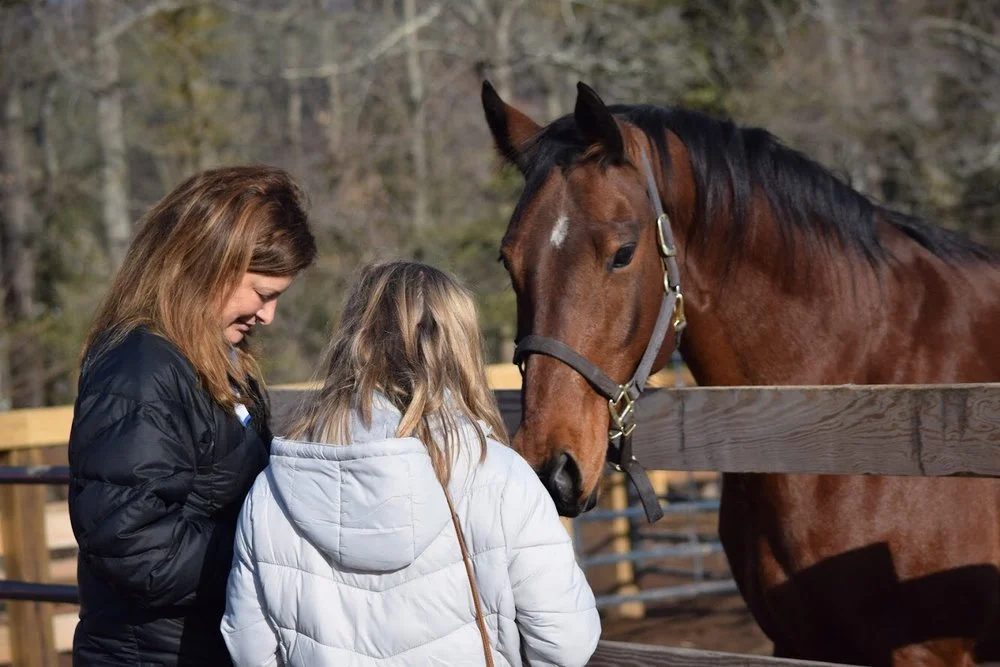 US Horse Welfare & Rescue, where horses rescue the human spirit through ...