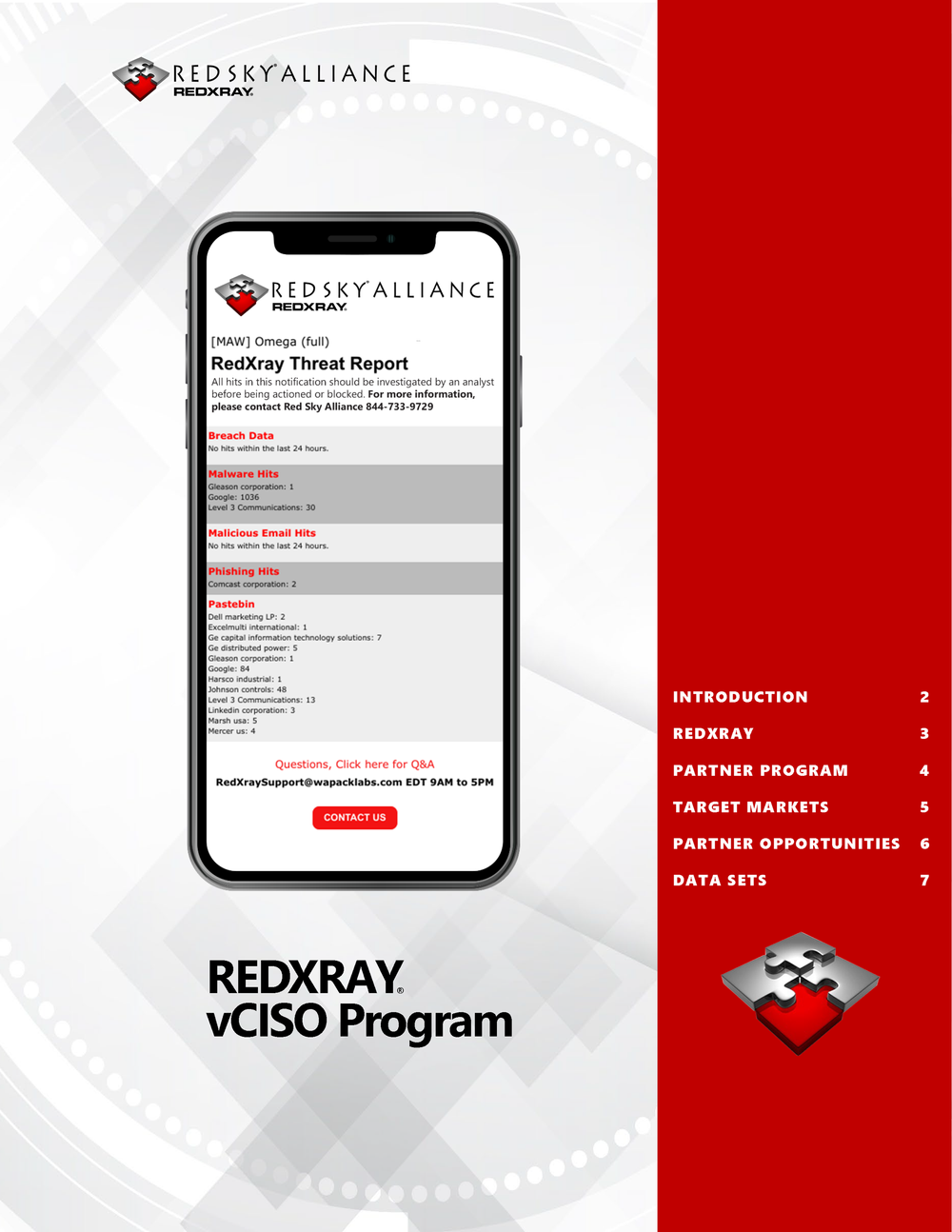 vCISO Program — Red Sky Alliance