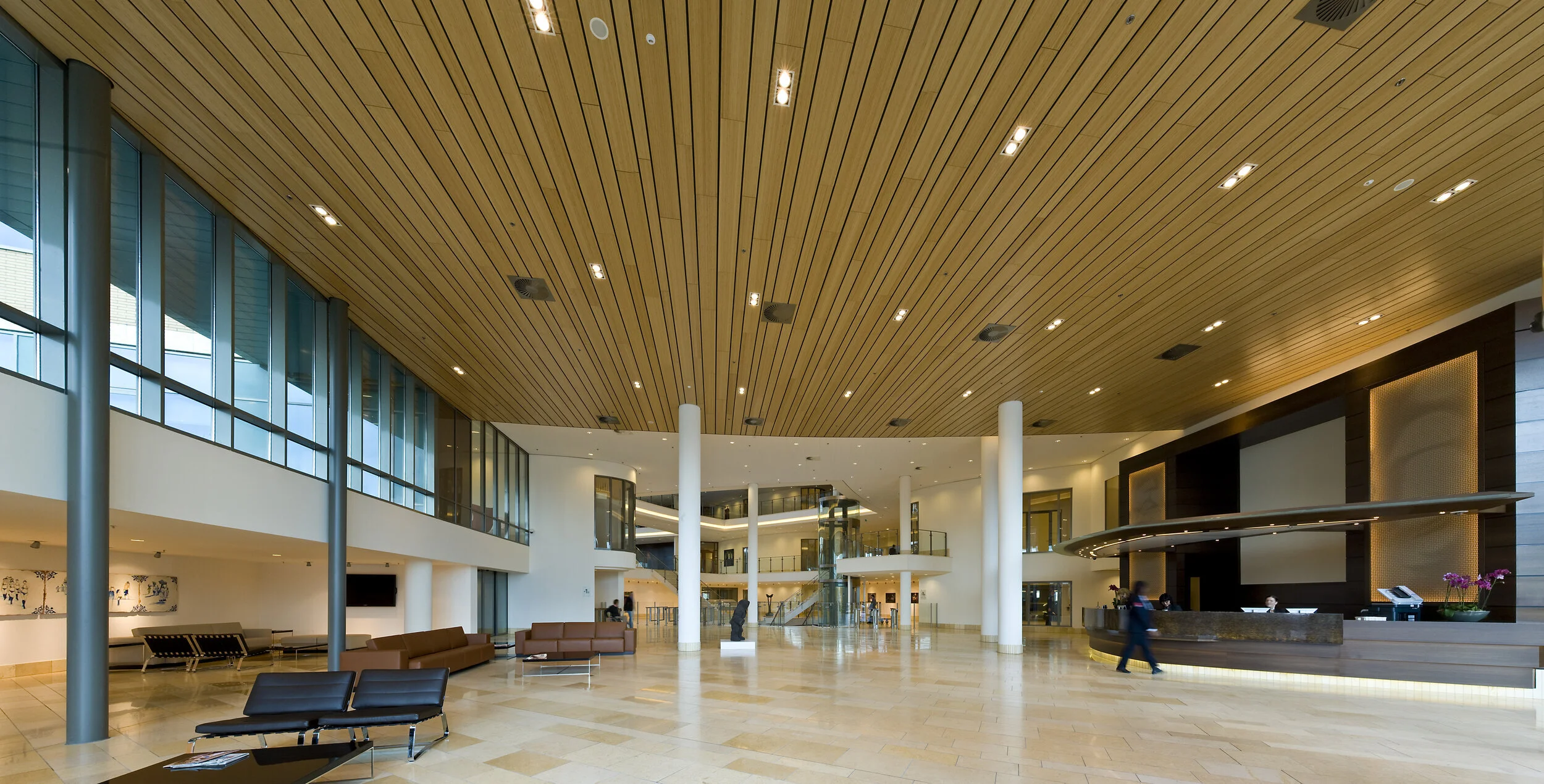 WoodLine Collection | Acoustic Wood Ceiling & Wall Panels — Akouo Acoustics