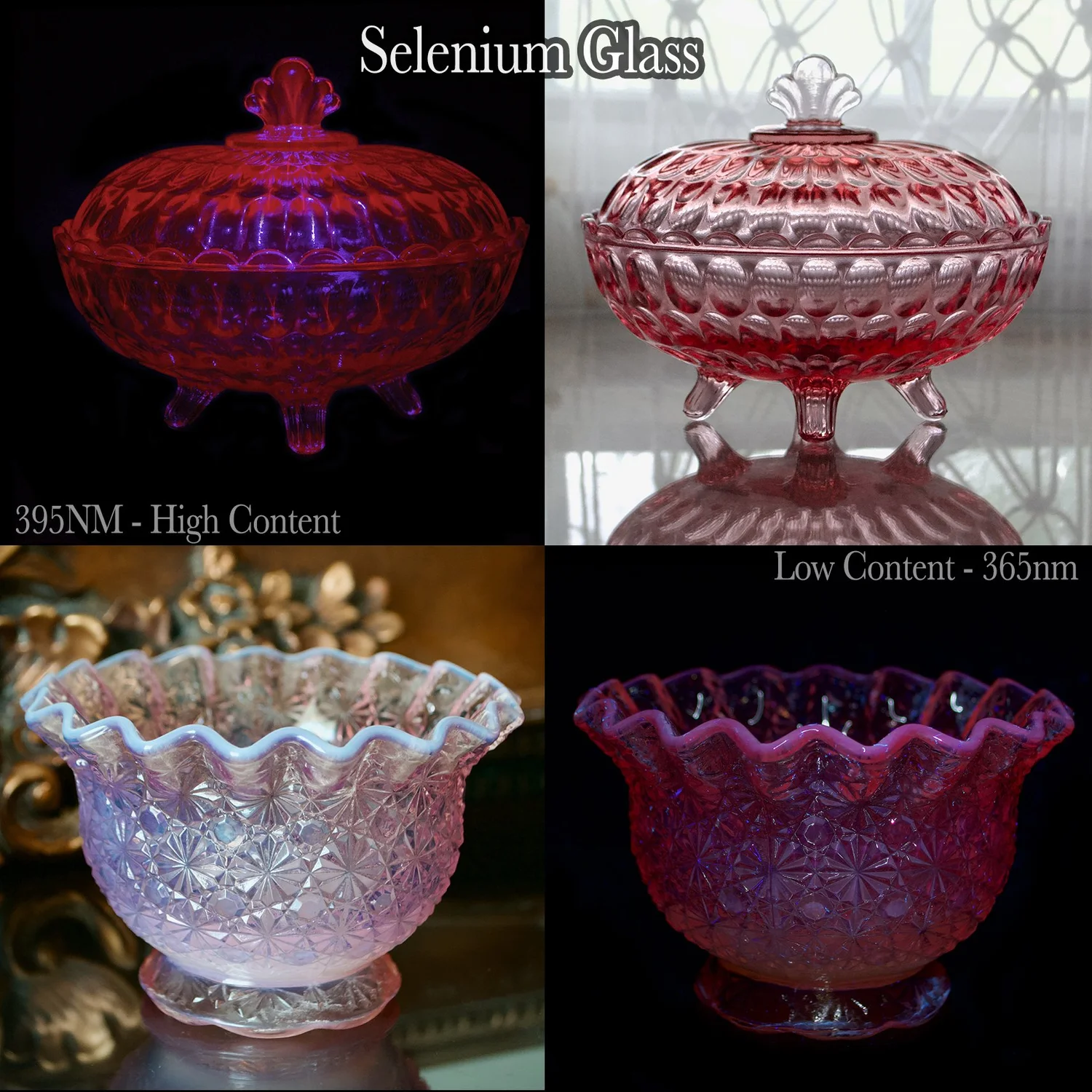 About UV Glass — The Butterfly Babe