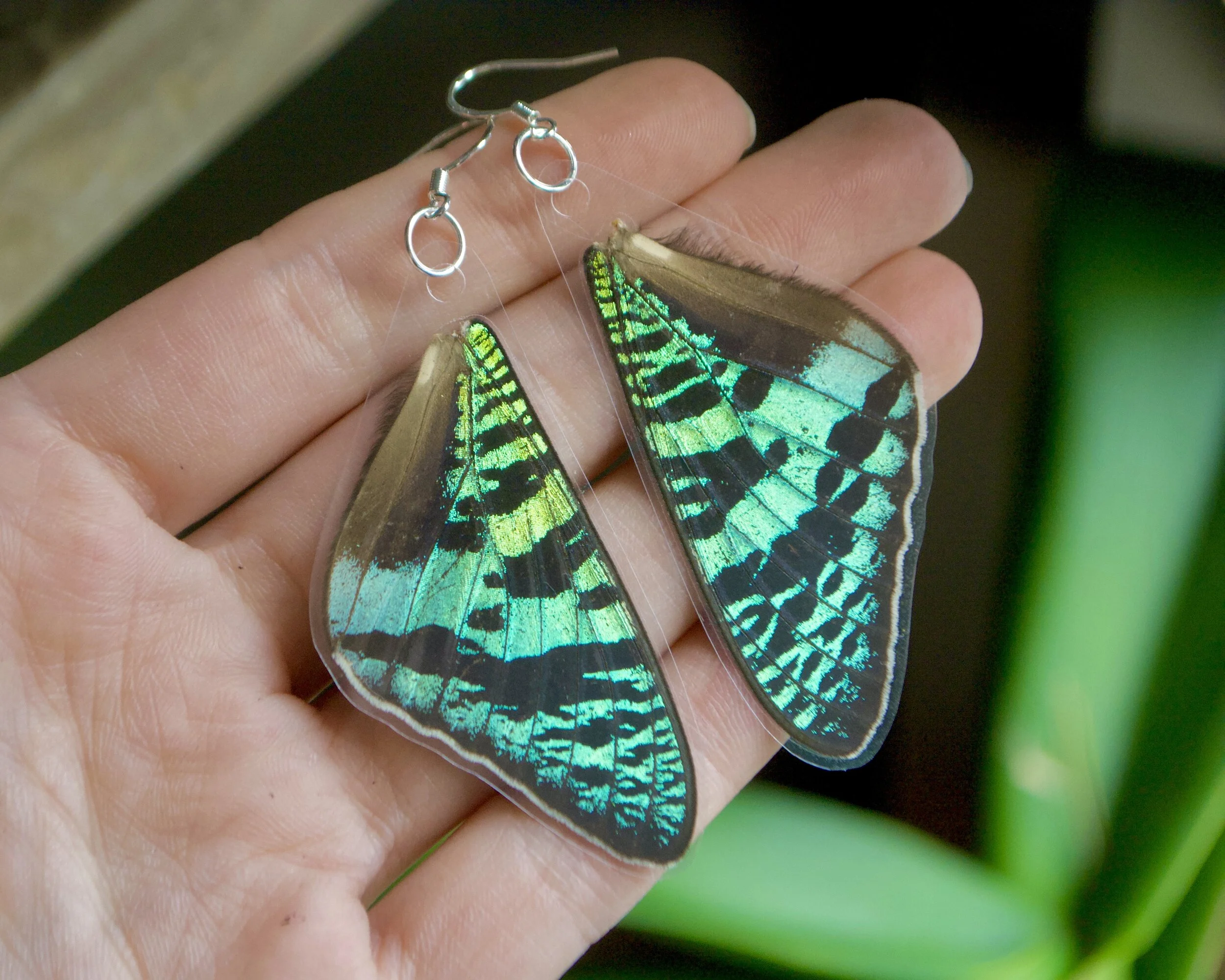 Insect Earrings — The Butterfly Babe