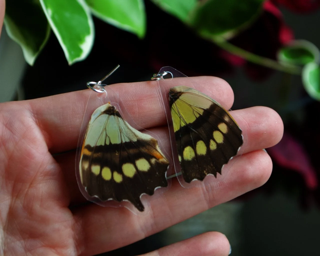 Insect Earrings — The Butterfly Babe