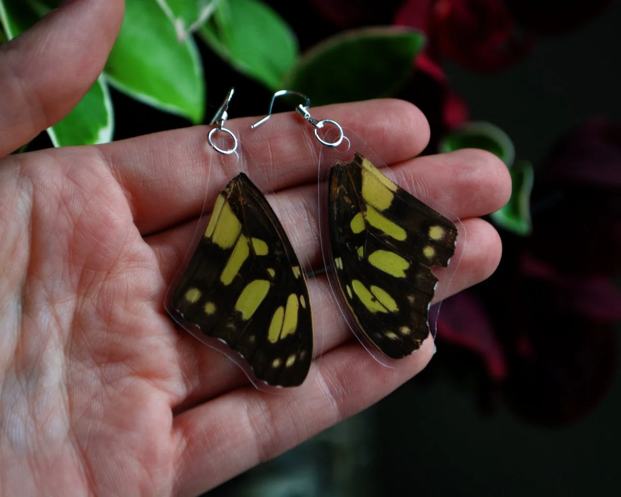 Insect Earrings — The Butterfly Babe