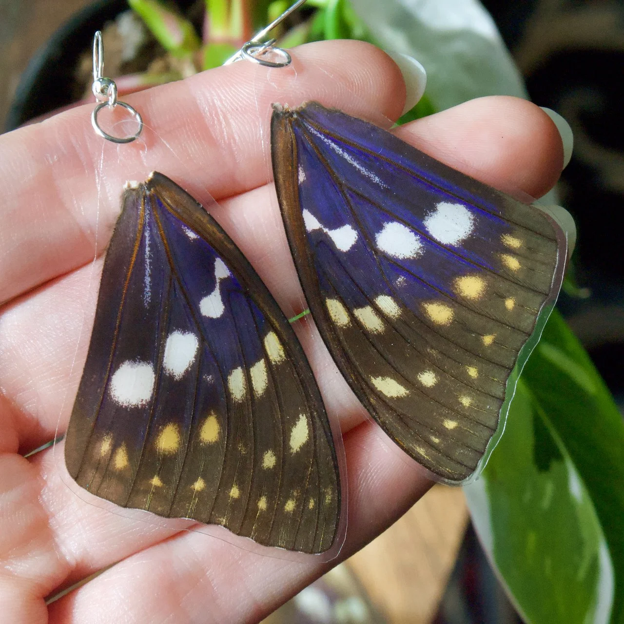 Insect Earrings — The Butterfly Babe