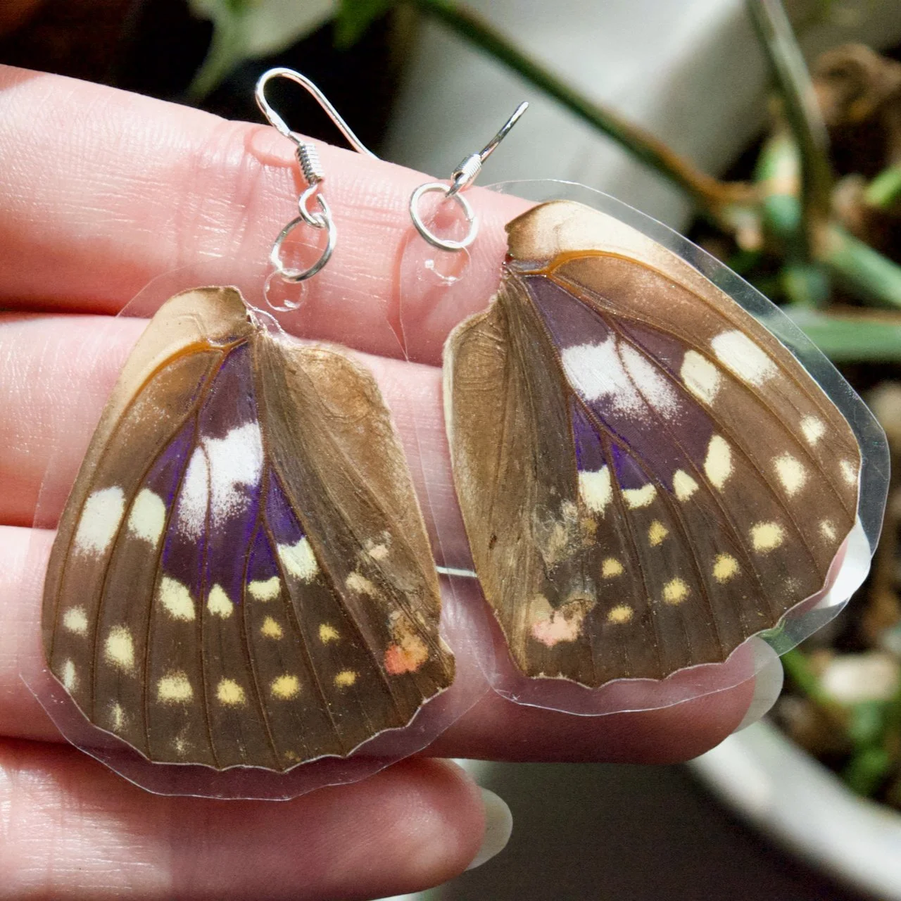 Insect Earrings — The Butterfly Babe