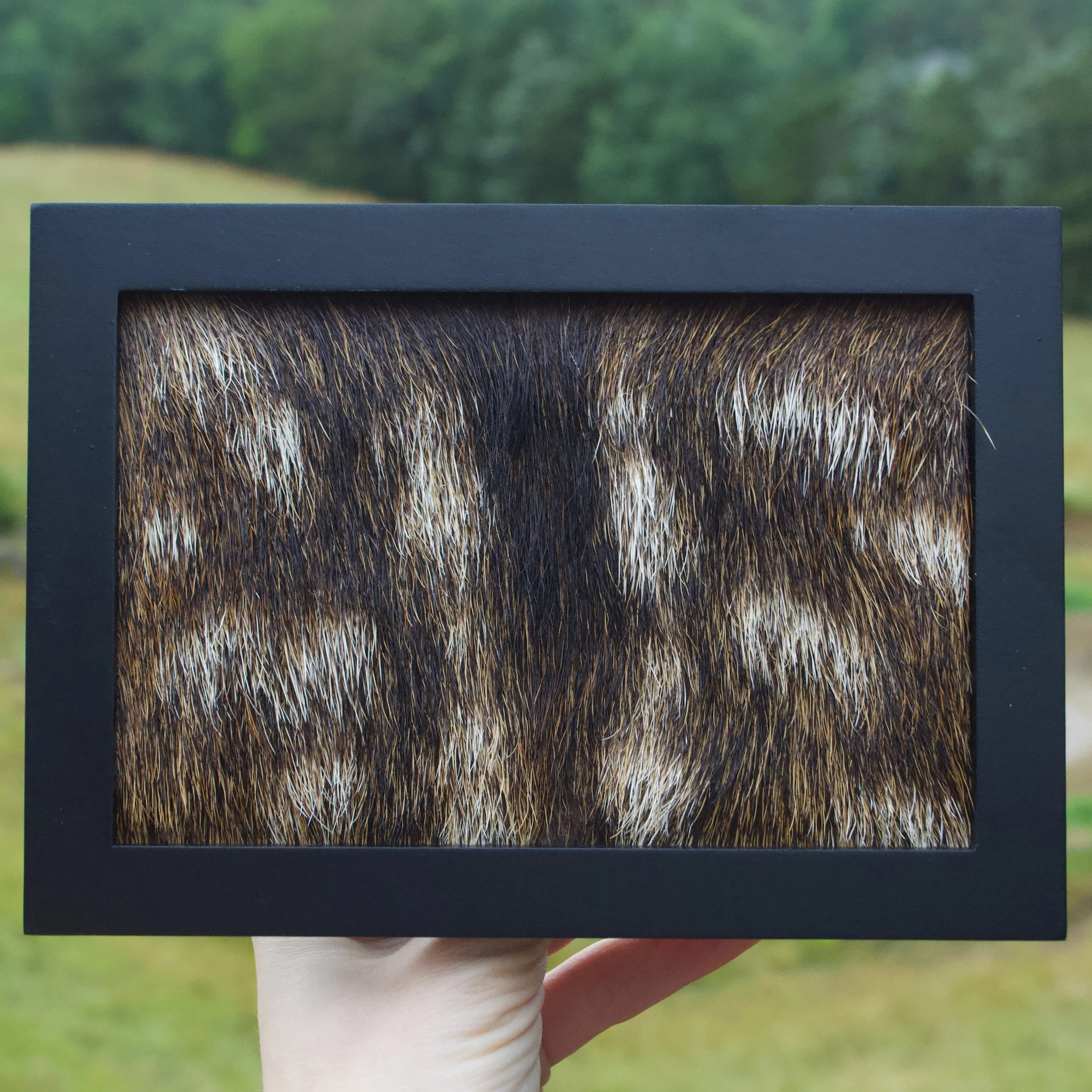 Hide Picture Frame