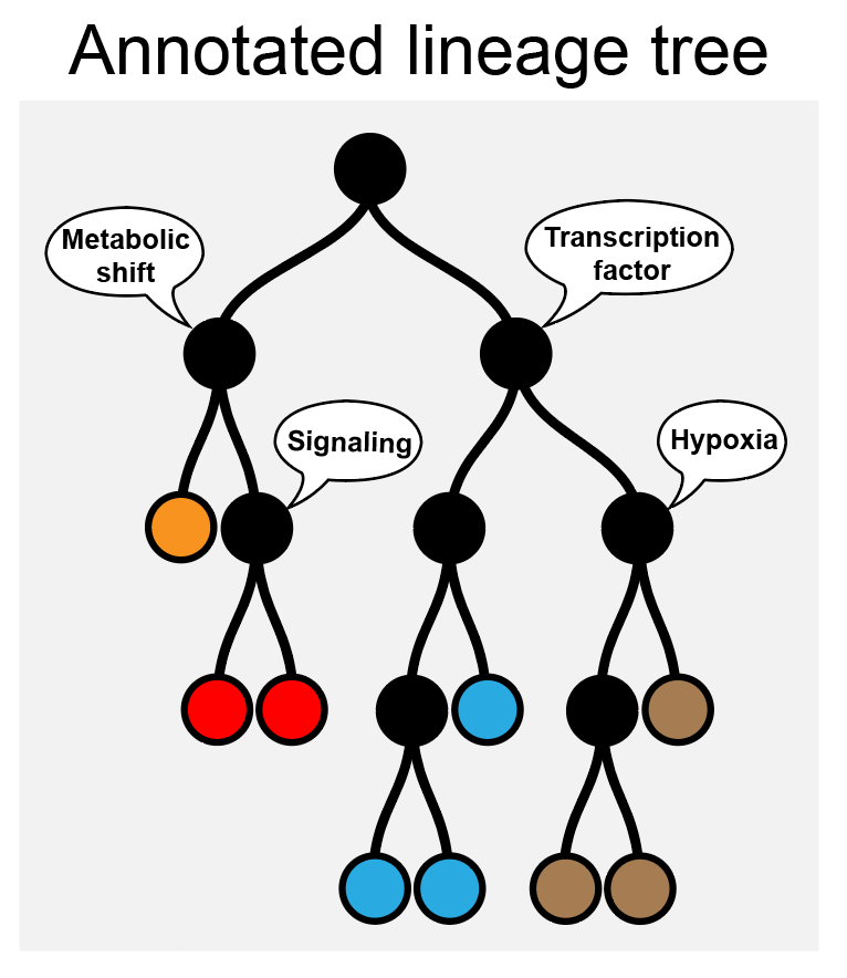 Publications — Gagnon Lab