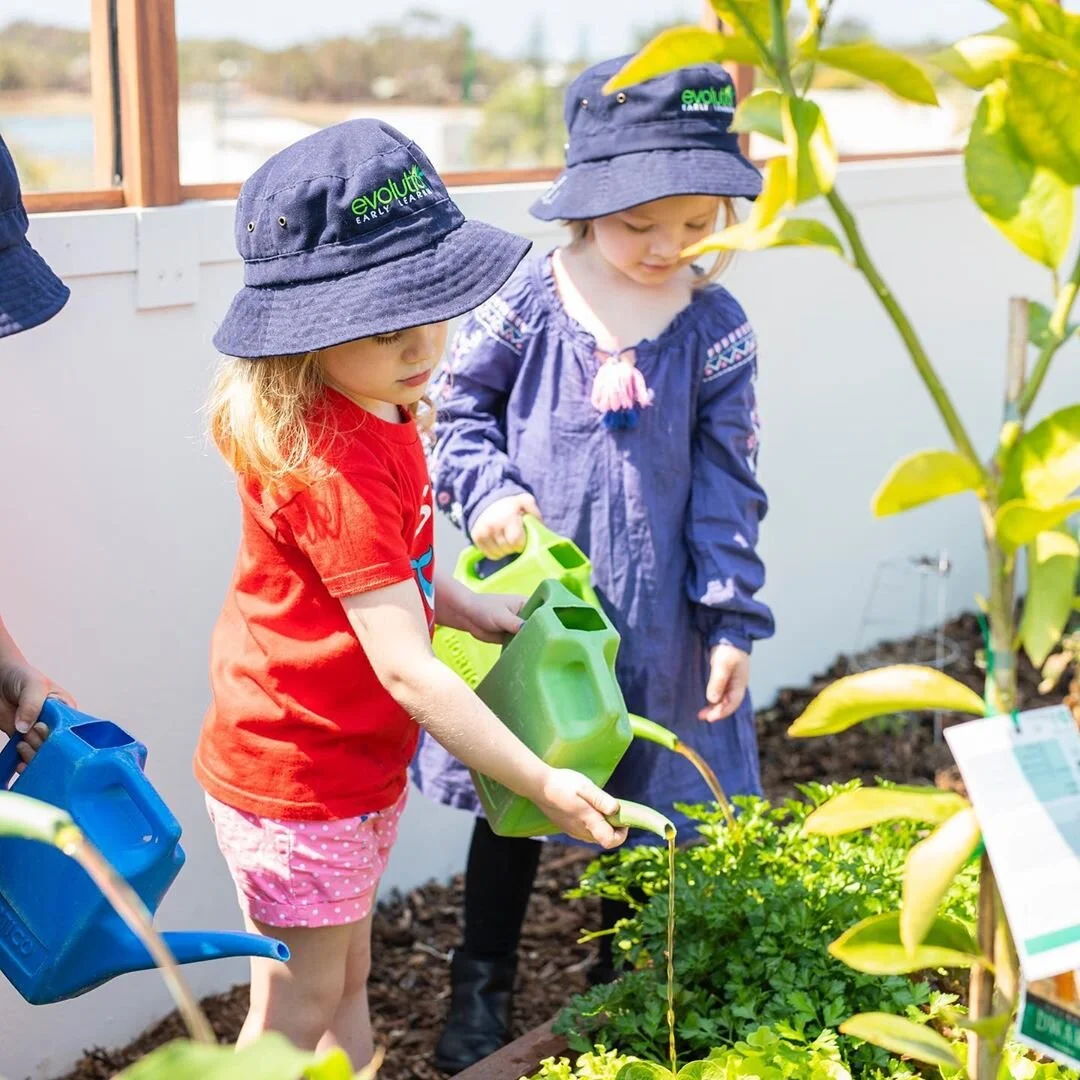 Evolution Early Learning