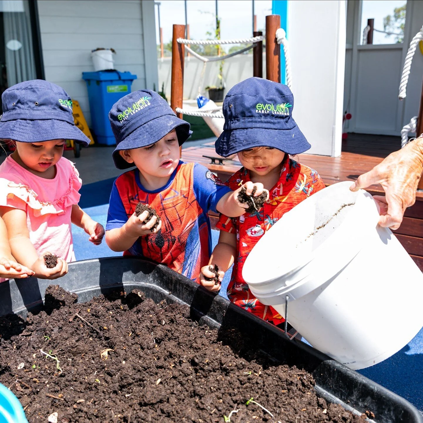 Evolution Early Learning