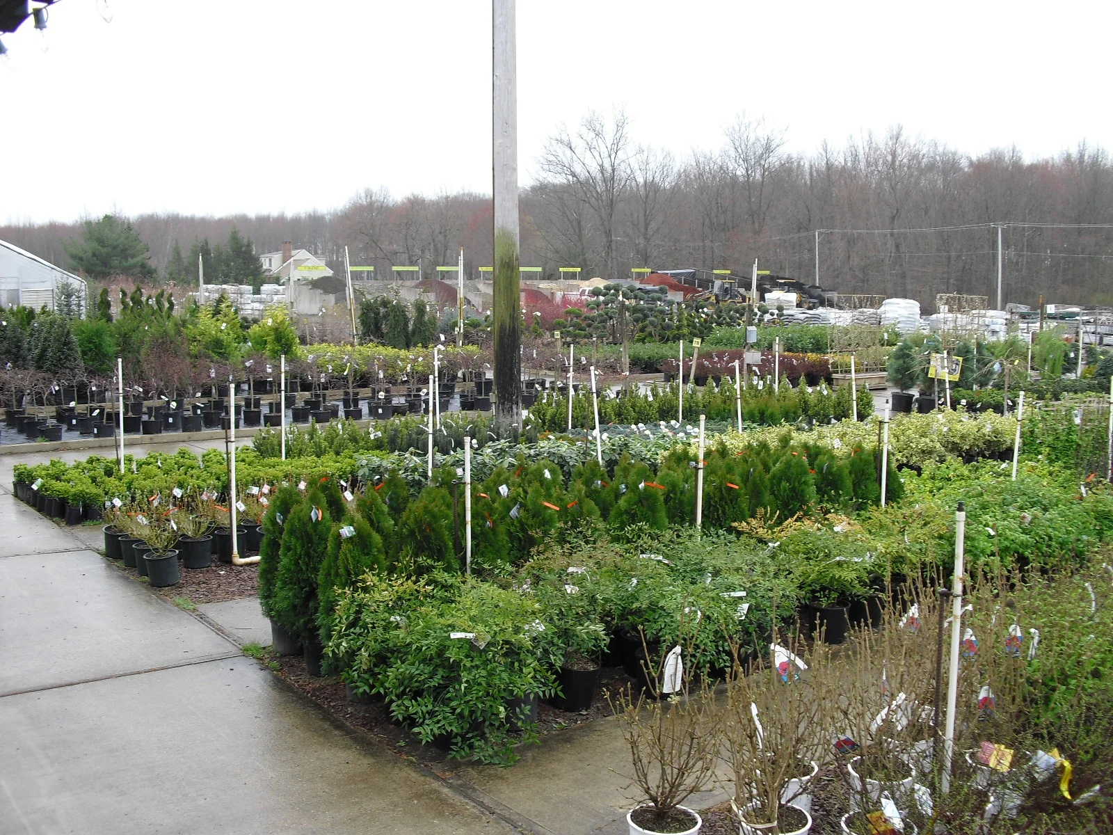 Home — Timothy's Center for Gardening