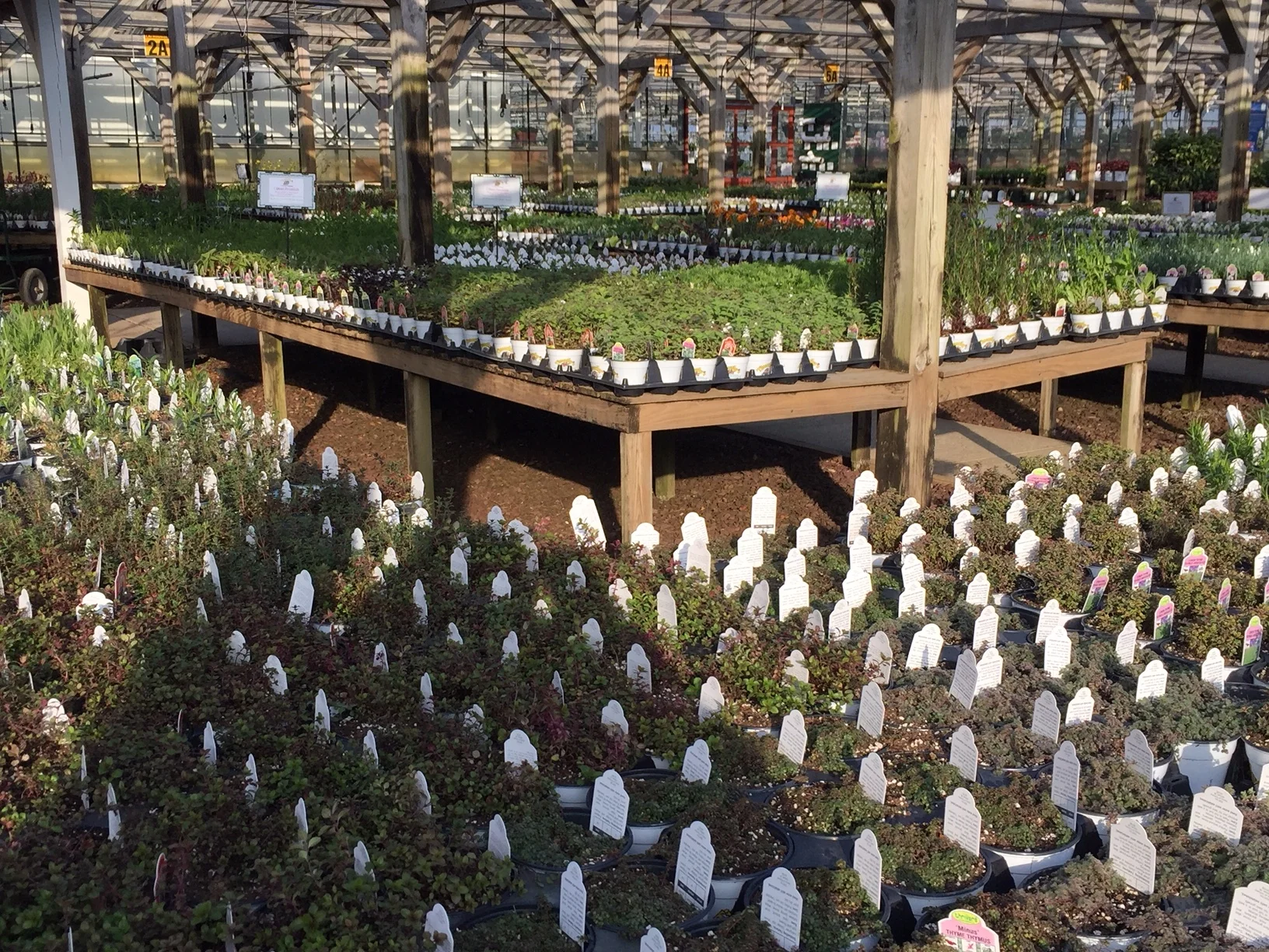 Products — Timothy's Center for Gardening