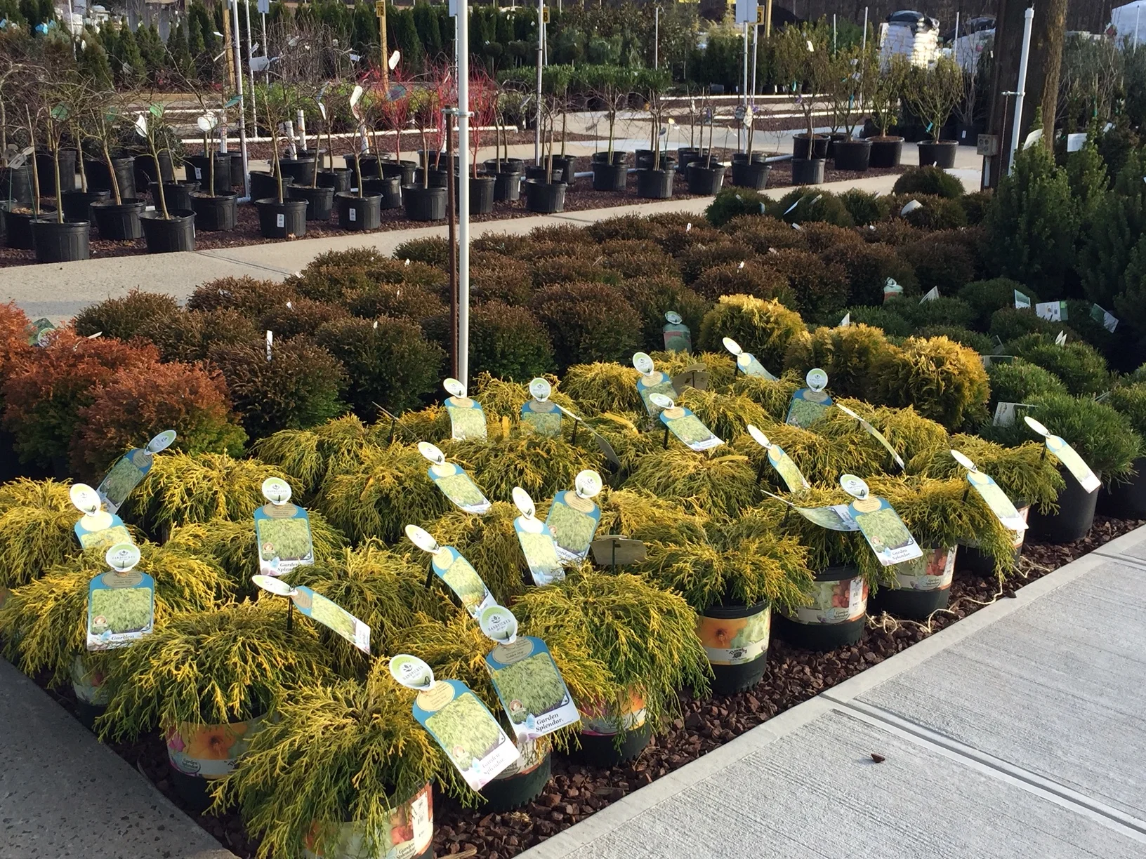 Products — Timothy's Center for Gardening