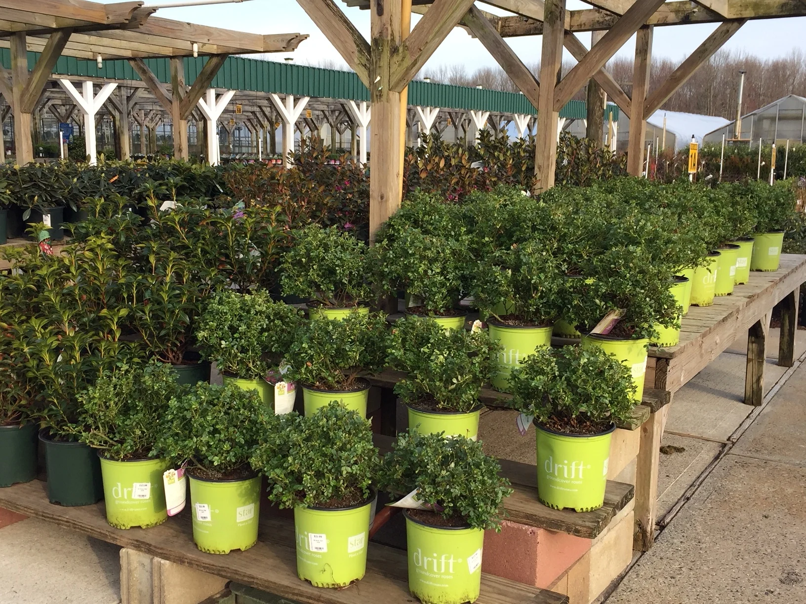 Products — Timothy's Center for Gardening