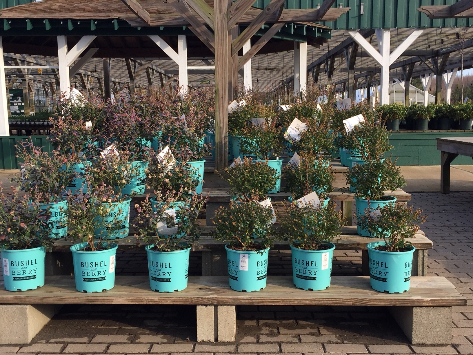 Products — Timothy's Center for Gardening