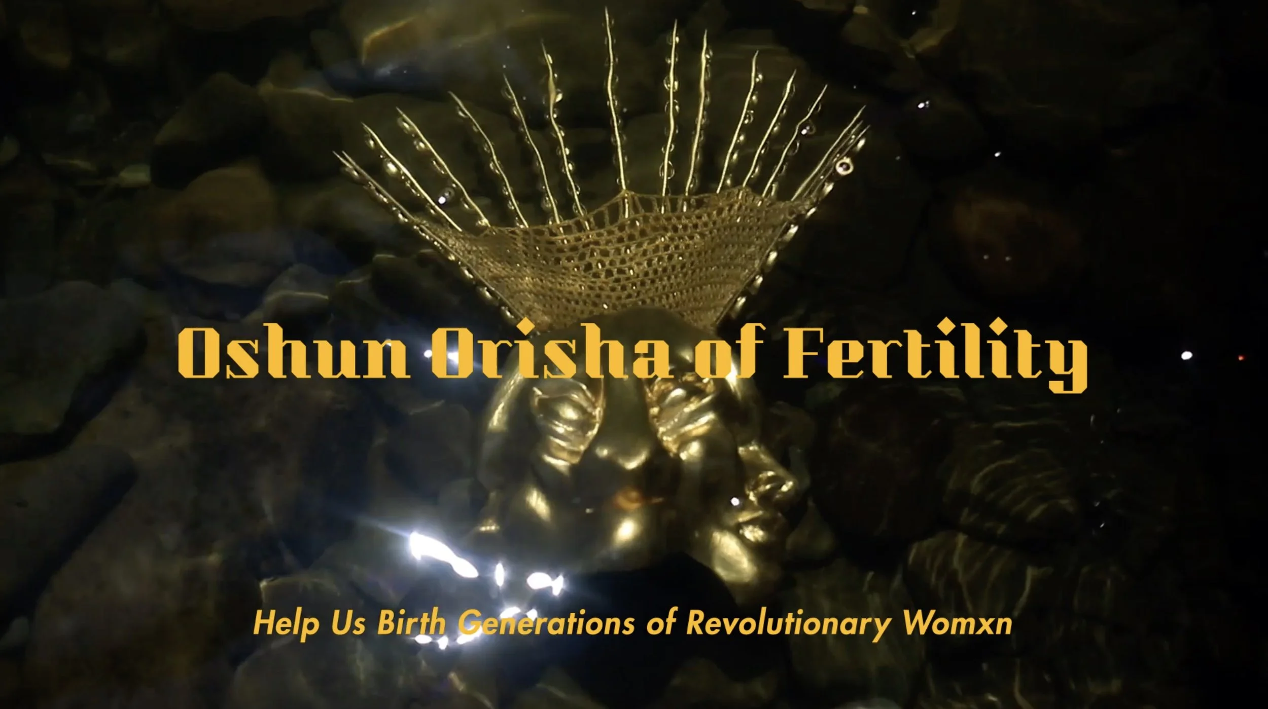 collective selection / selective collection — Rivalry Projects