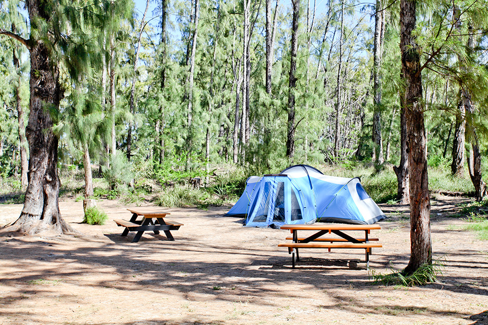 Campsites — Bellows Air Force Station