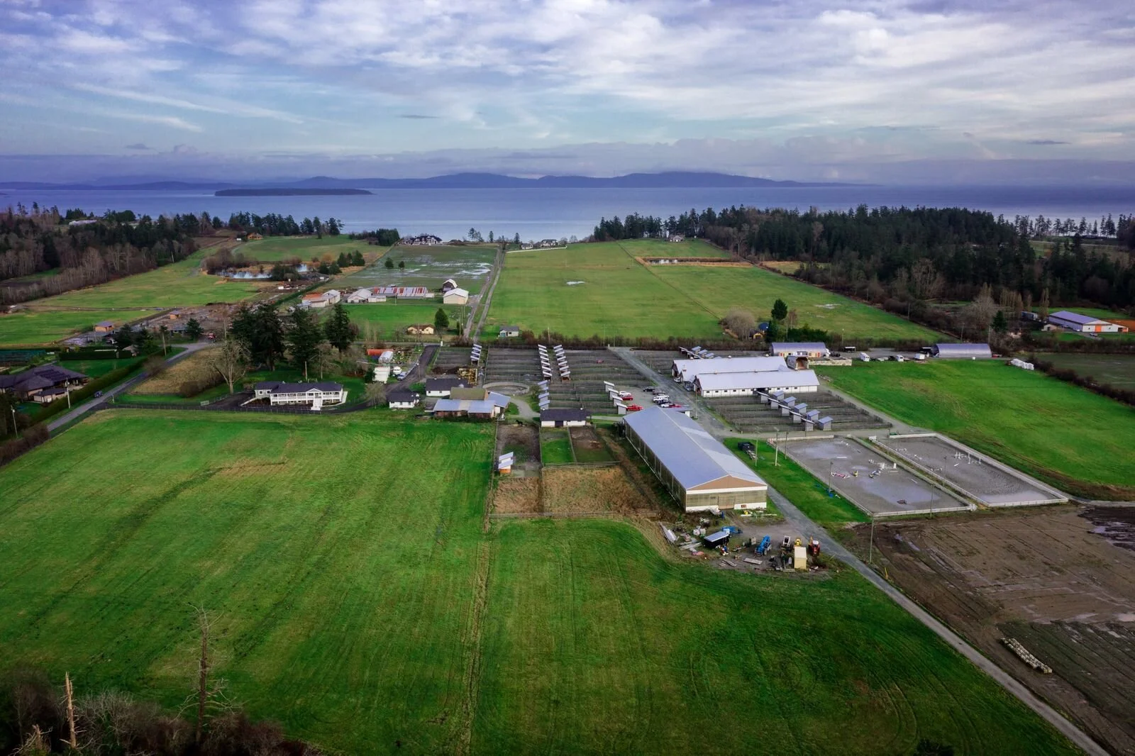 MacLeod Group | Sotheby's Realty Victoria, BC
