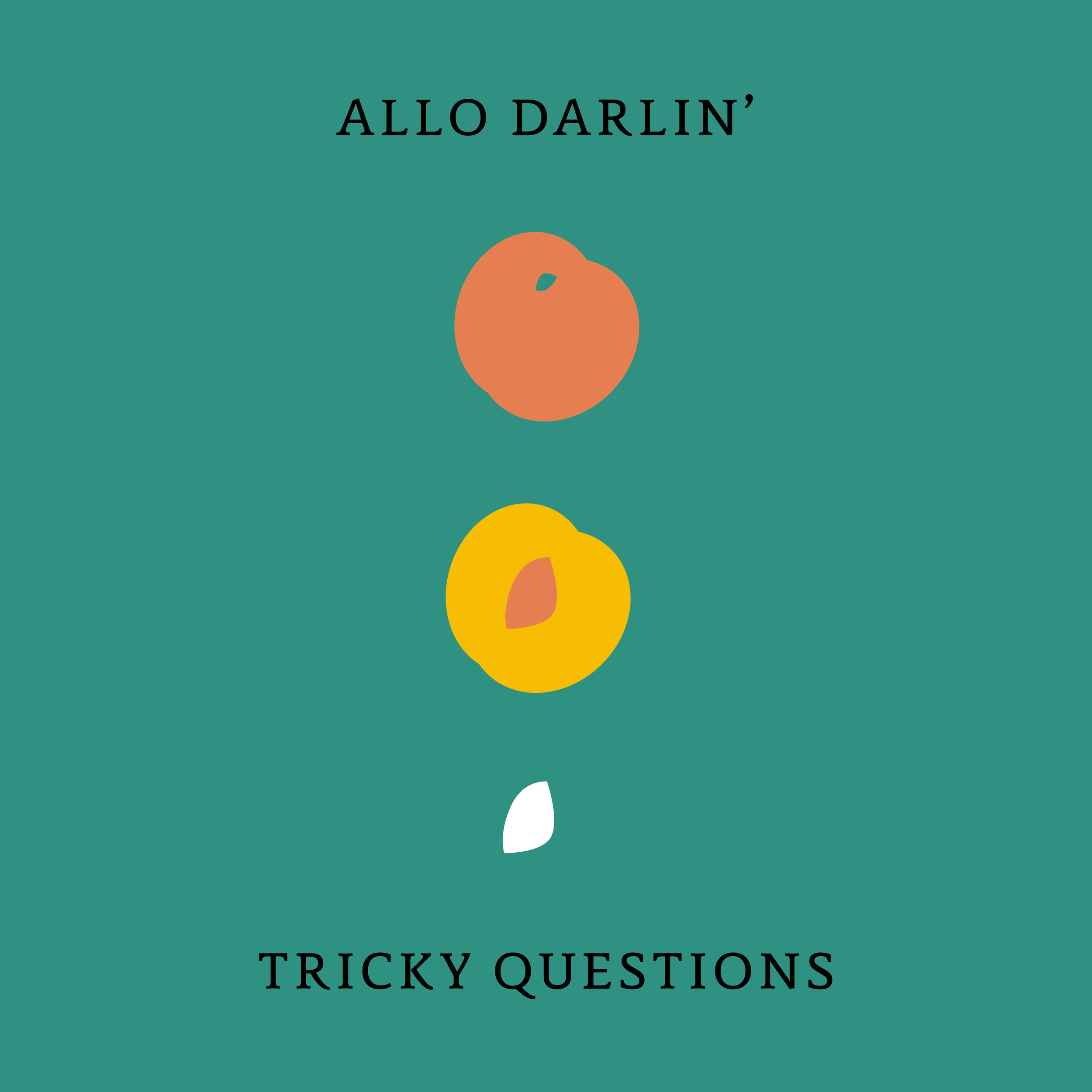 Allo Darlin' - Tricky Questions [Digital] — Fika Recordings