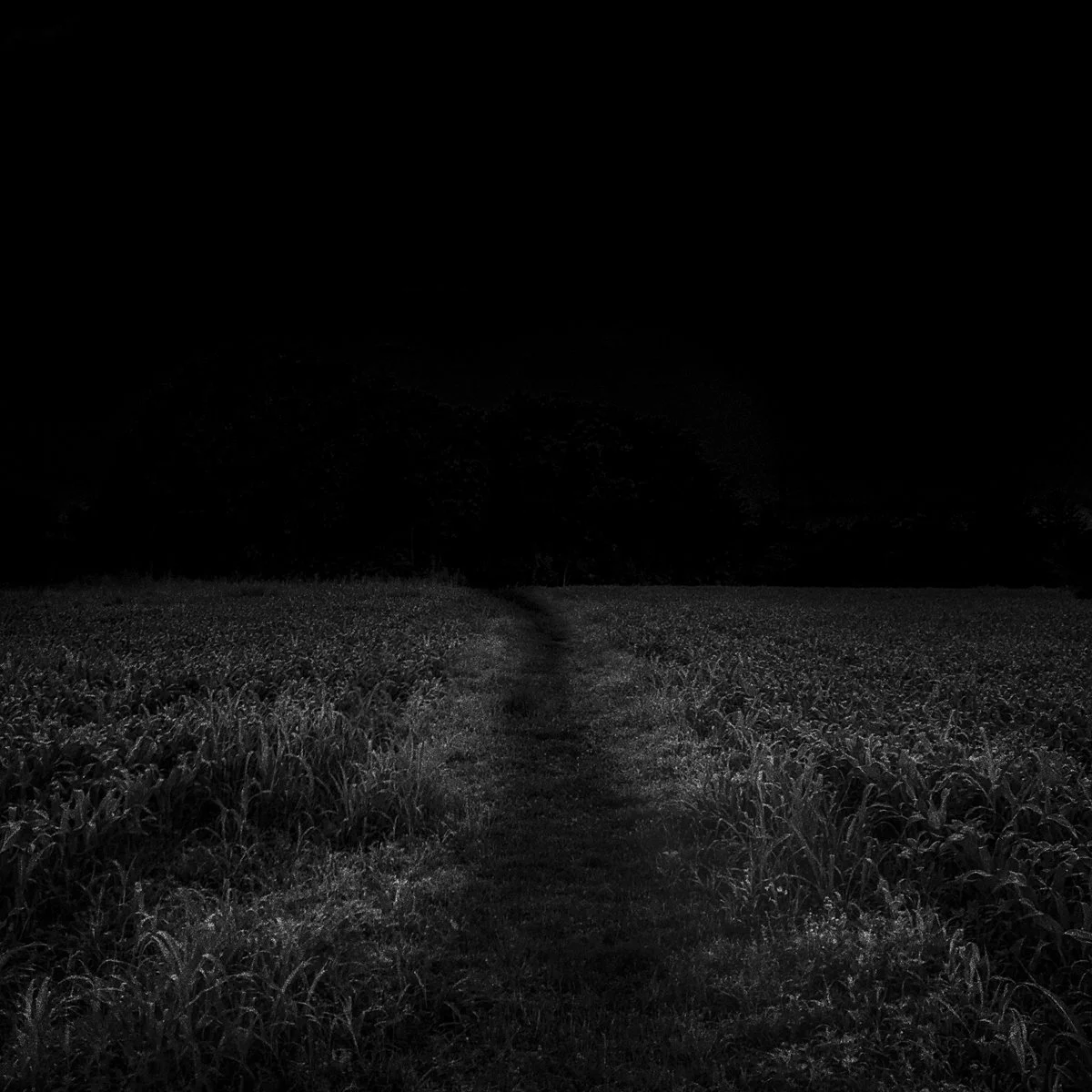 Elisa Moro — FLOAT