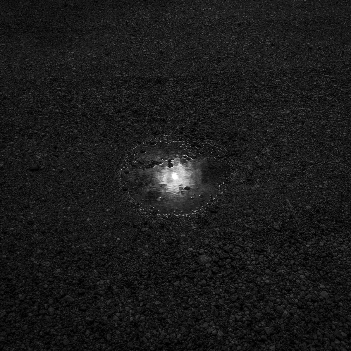 Elisa Moro — FLOAT