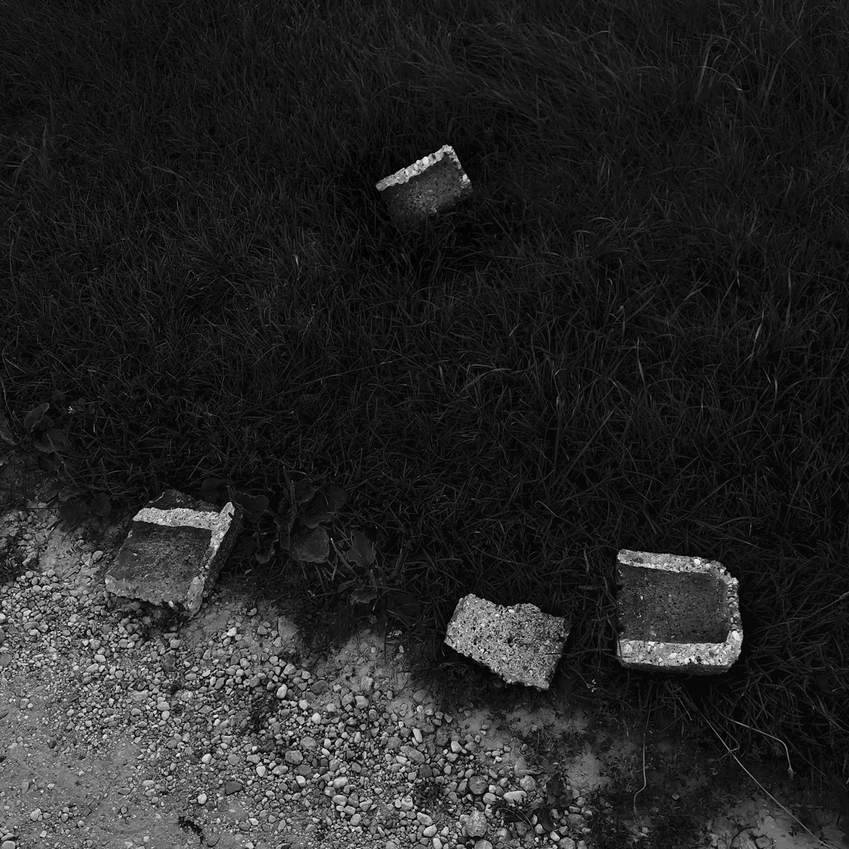 Elisa Moro — FLOAT