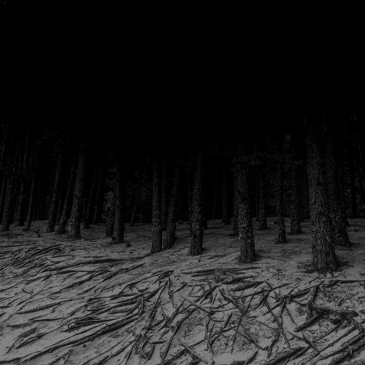 Elisa Moro — FLOAT