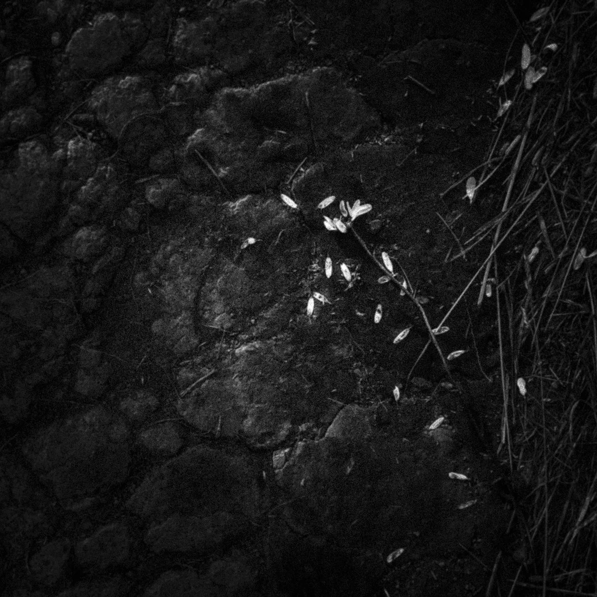 Elisa Moro — FLOAT