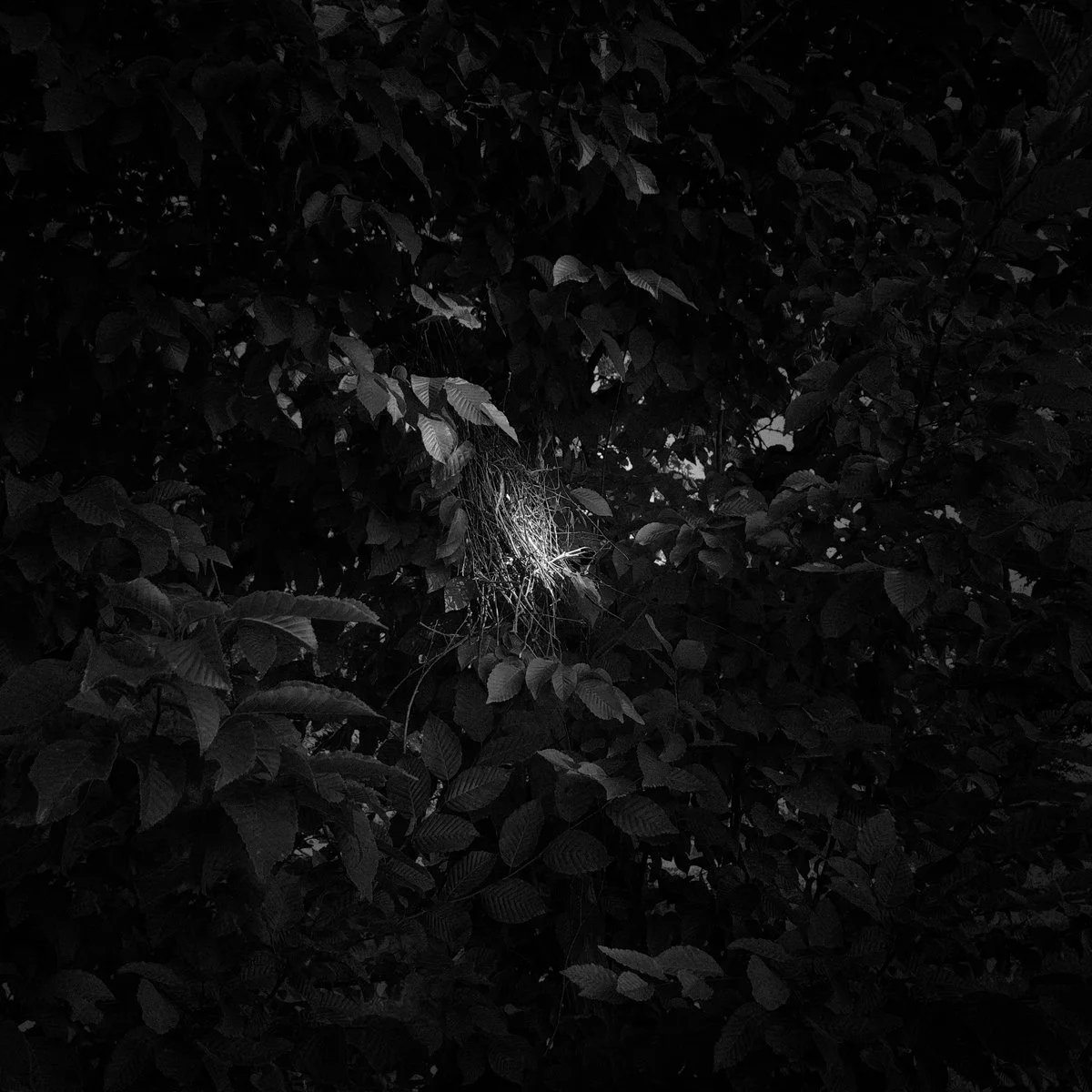 Elisa Moro — FLOAT