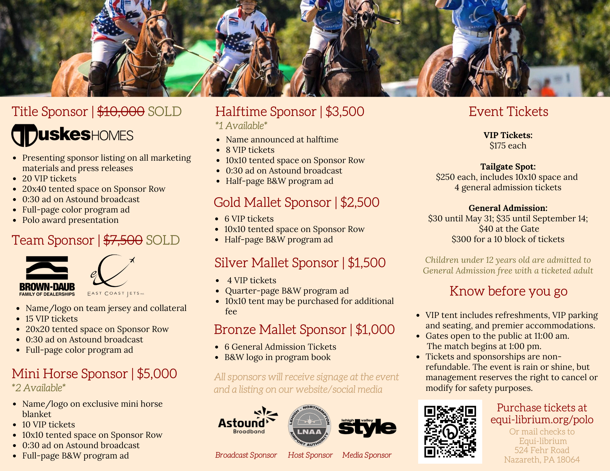 Lehigh Valley Polo — Equi-librium - Healing Through Horses