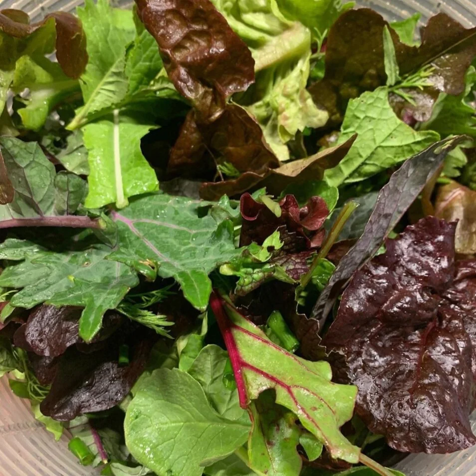 Let us talk about Lettuce... — Crown Hill Farm