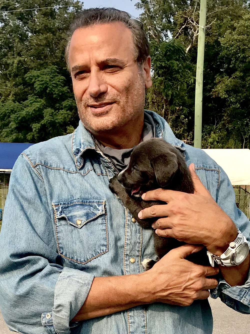 Tommy Habeeb To The Rescue — Jejune Magazine