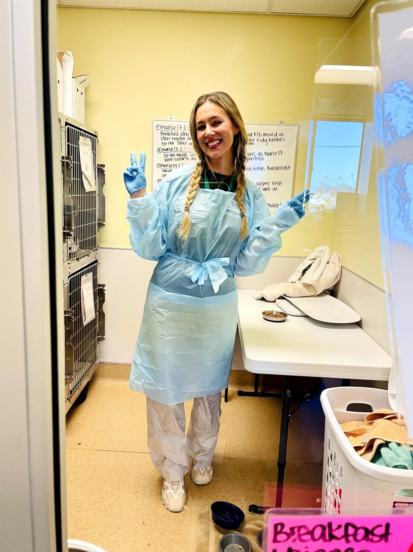 Faith Gara - Changing Cities and Rescuing Kittens — Jejune Magazine