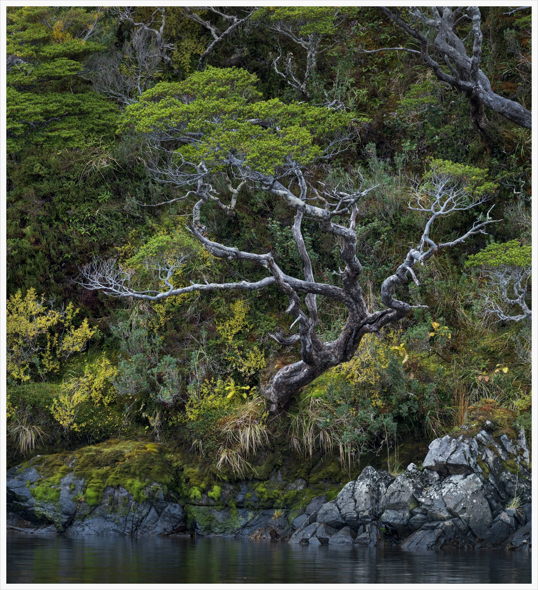 Chris Jordan - Stories Through the Lens — Jejune Magazine