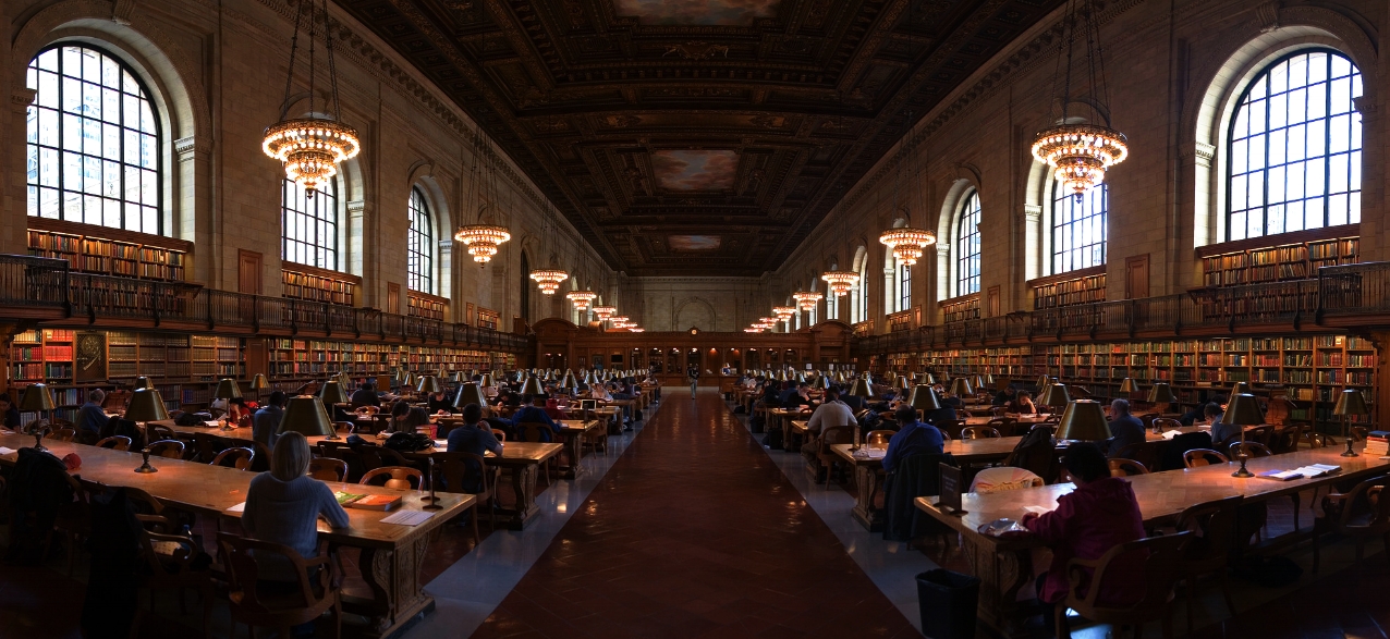 Pedro Adamy | Advocacia