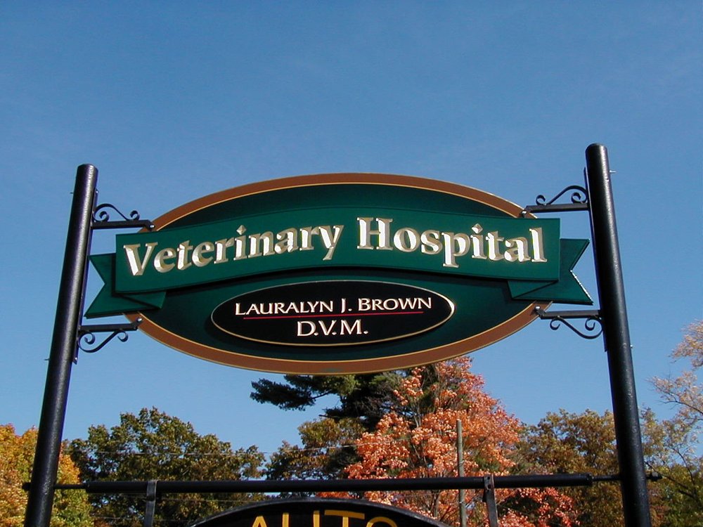 Animal Hospital Sign Ideas