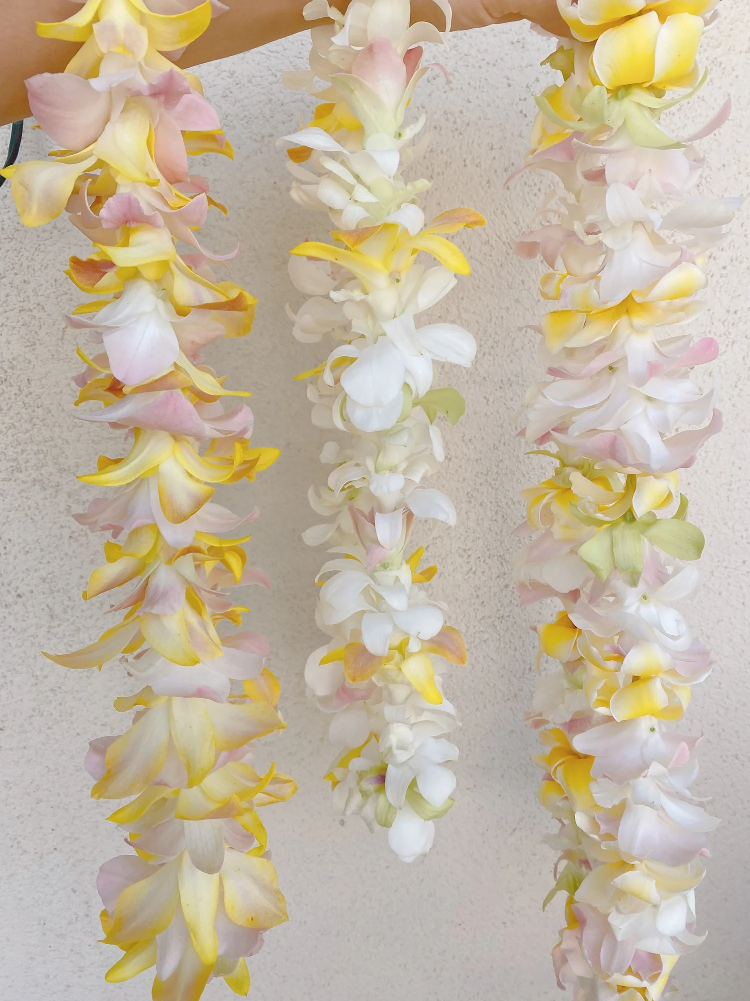 Kui Lei — Hakus & Love